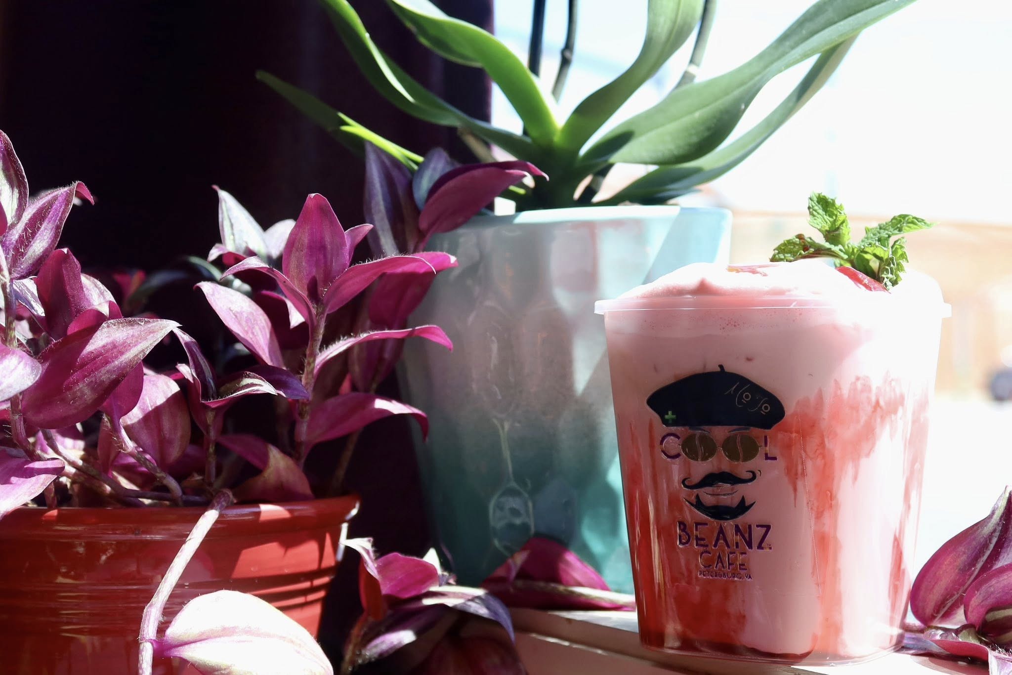Cool Beanz Café | Coffee Shop in Petersburg VA
